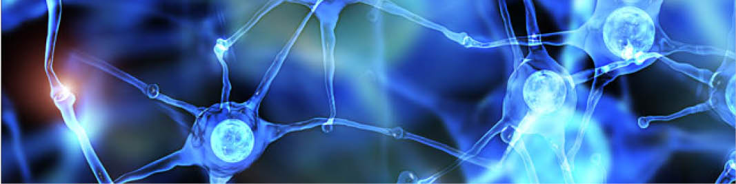 Pain and Inflammation: 2 types of pain and how to support inflammation