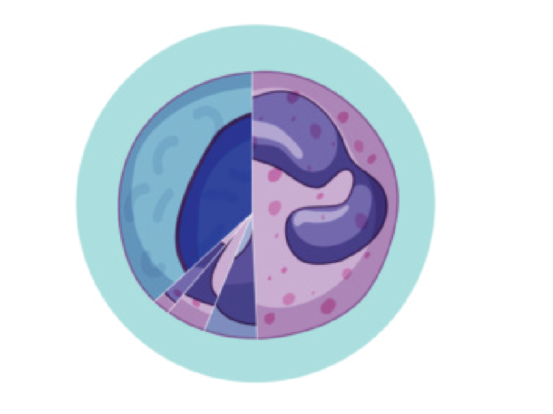 TruAge™ Complete | FxMed